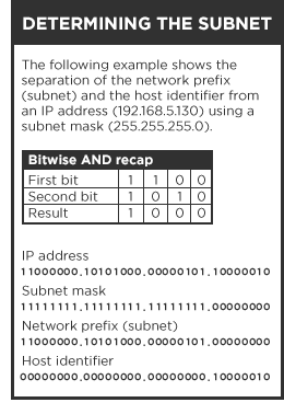 The Difference Between VLANs and Subnets